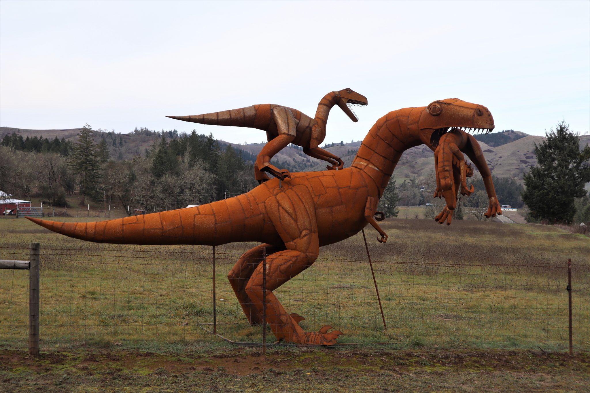 Dinosaur Sighting! – Skylar Knox